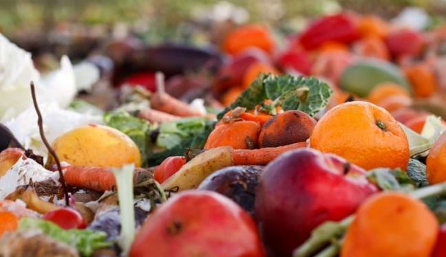 Food Waste Disposal Rules In England Are Changing In 2023 food-waste-disposal-rules-in-england-are-changing-in-2023